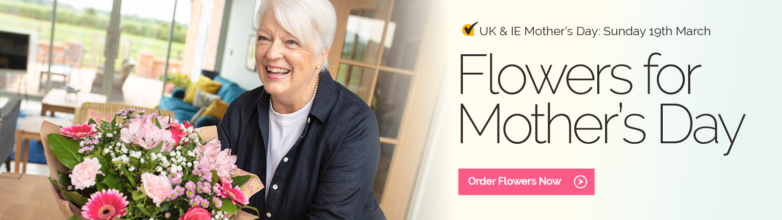 Send flowers and plants, same day delivery