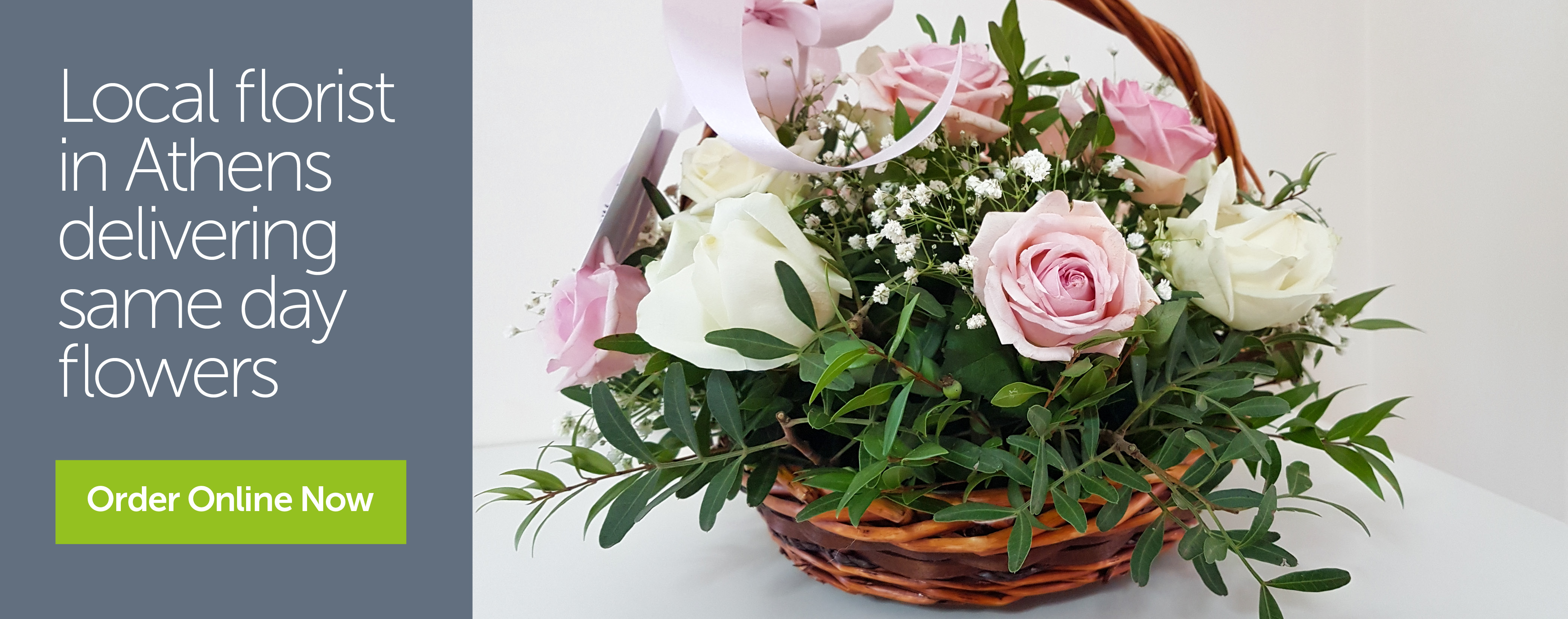 Send flowers and plants, same day delivery